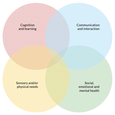 SEN | Torpoint Community College
